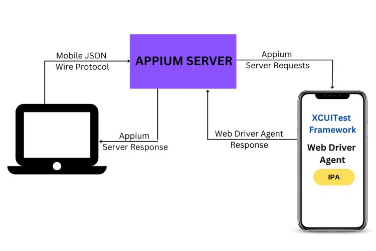 Appium là gì? Những điều cần biết về công cụ kiểm thử tự động